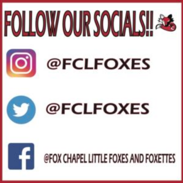 Fox Chapel Area Little Foxes and Foxettes – Fox Chapel Little Football ...